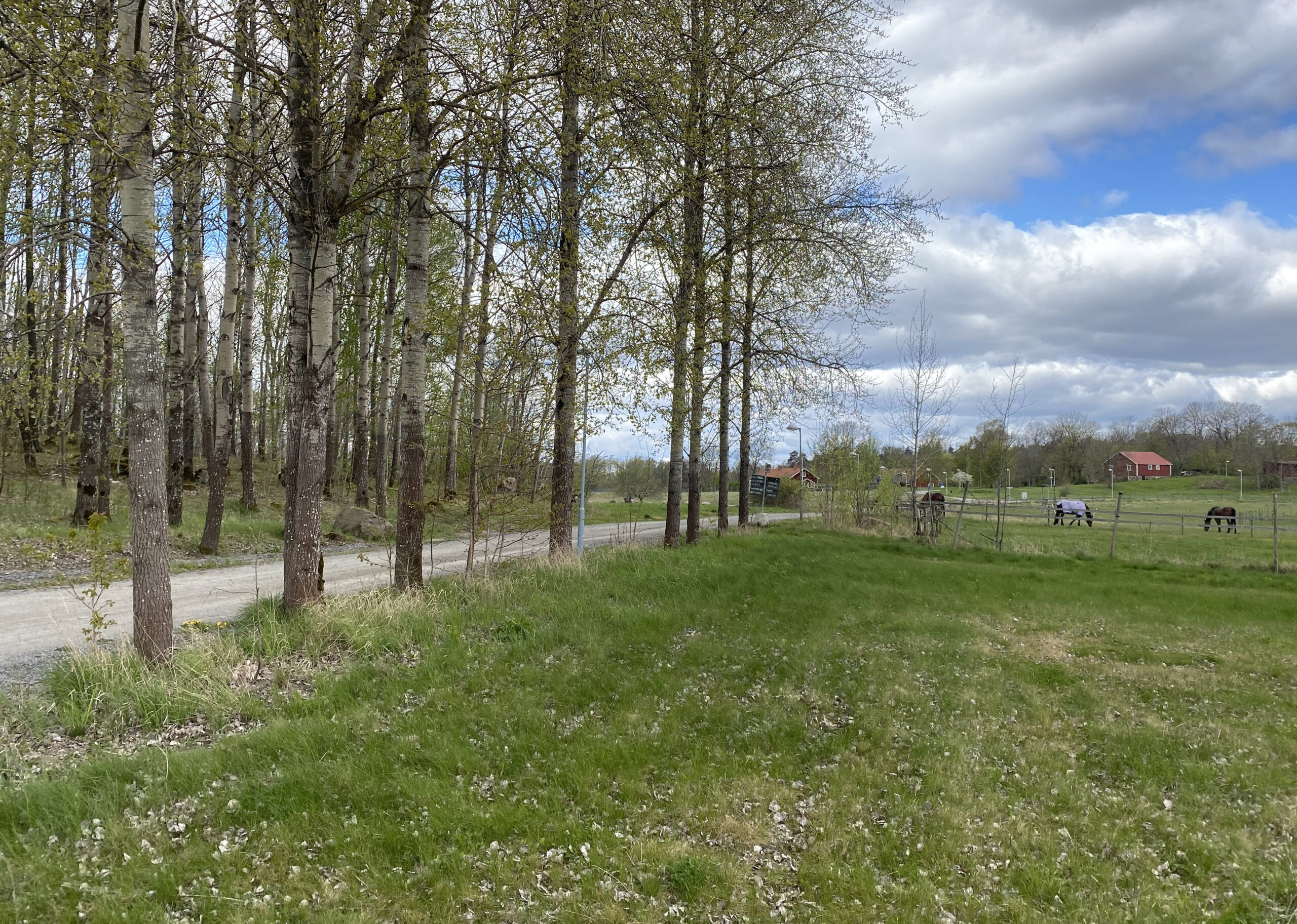 Skanska tecknar stort avtal med Svenska Kraftnät | Byggvärlden